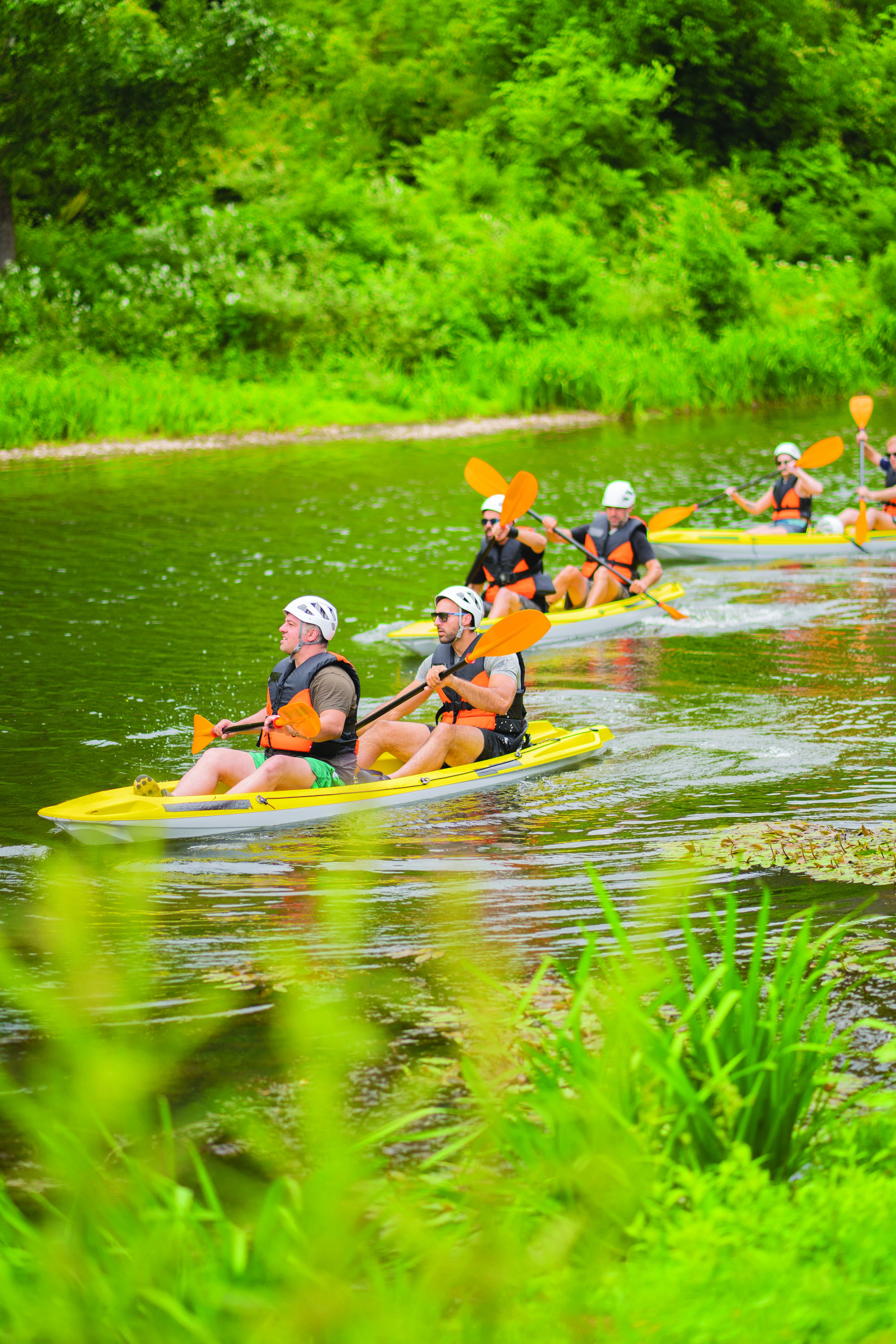 NASP announces Dr Rachel Quinn appointed Executive Director of Strategy ...